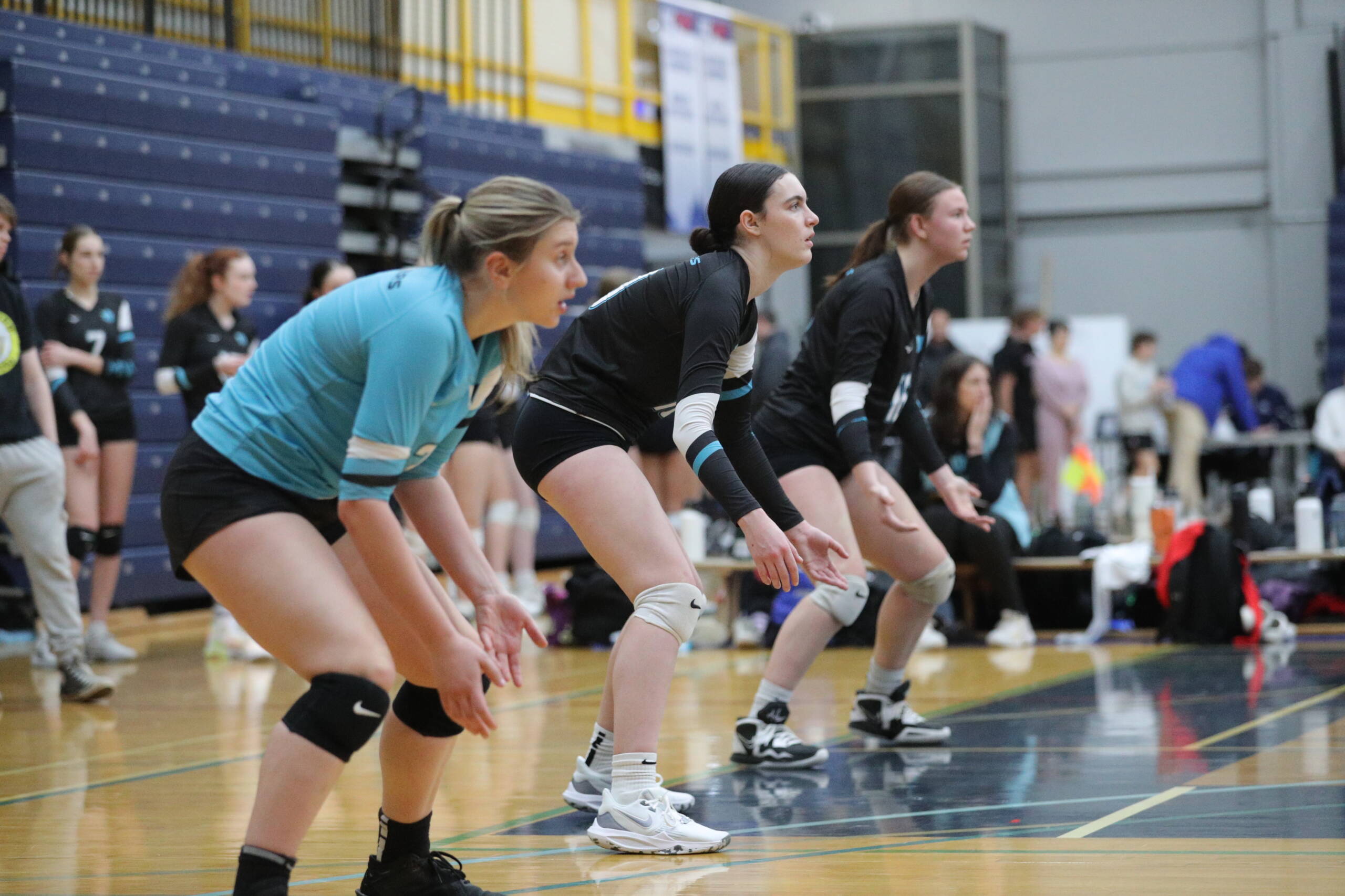 Mariners Volleyball Club